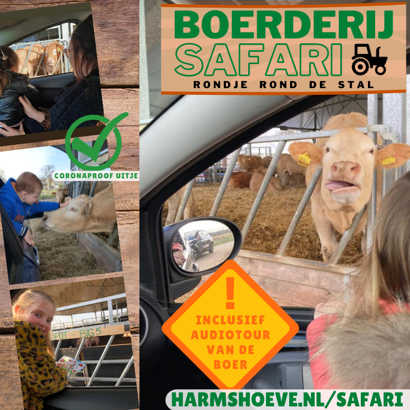 Boerderij Safari audiotour - Harm's Hoeve