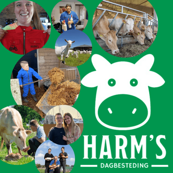 Dagbesteding - Harm's Hoeve